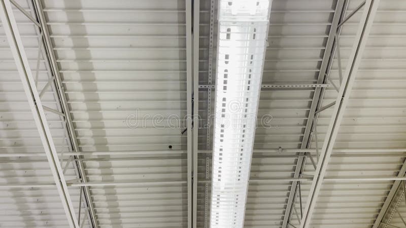 Bird Trapped Inside of a Building Flying in the Ceiling Rafters Stock ...