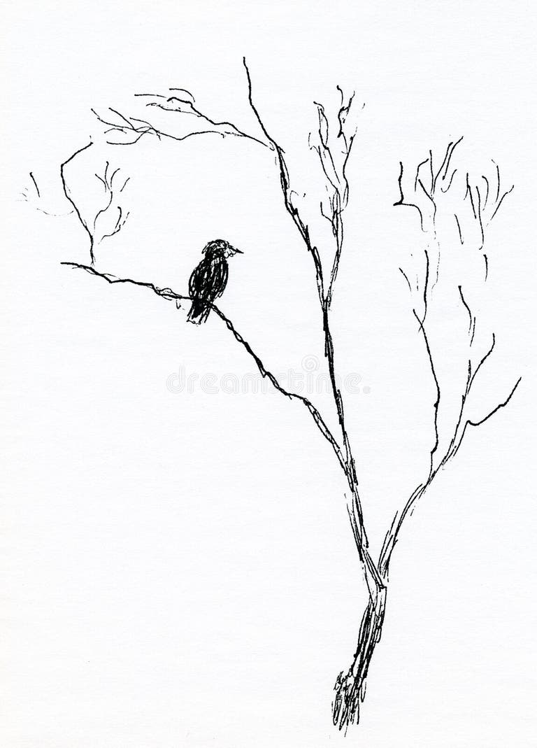 Simple Tree Bird Stock Illustrations – 14,674 Simple Tree Bird Stock ...
