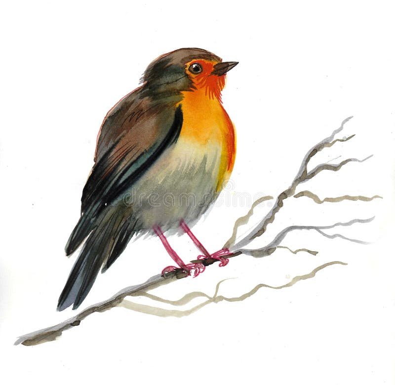 Bird on a tree stock illustration. Illustration of bird - 242875571