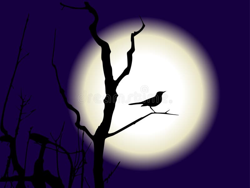 Bird and tree in twilight stock vector. Illustration of tree - 4796190