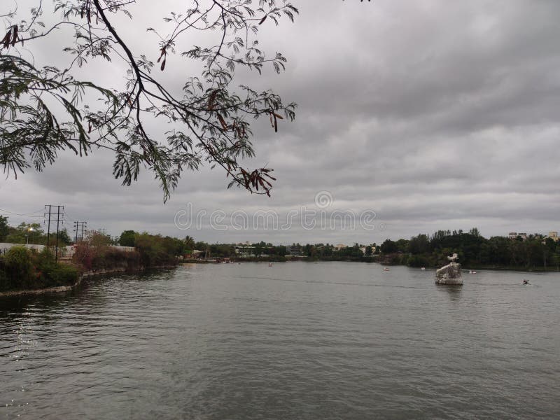 Bird valley pond stock photo. Image of template, reflection - 255658860