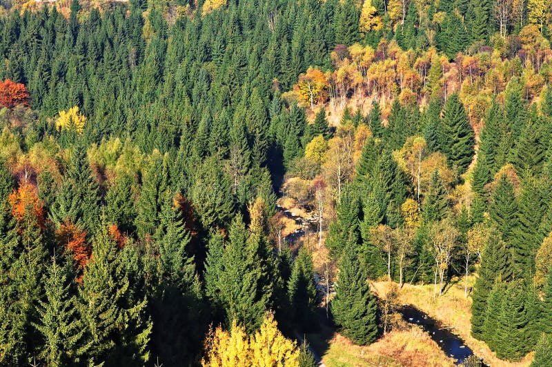 Bird View of Colourful Trees and Stream Stock Photo - Image of ...