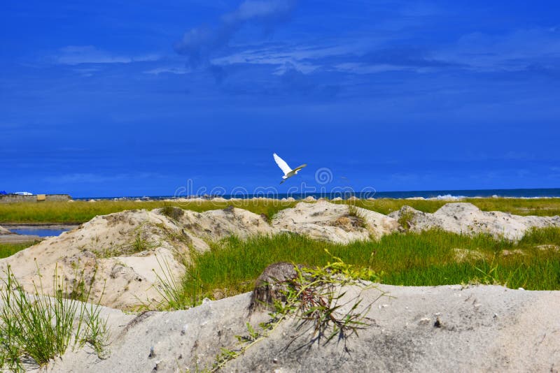 Bird view stock image. Image of atlantic, cloud, vacation - 95301735