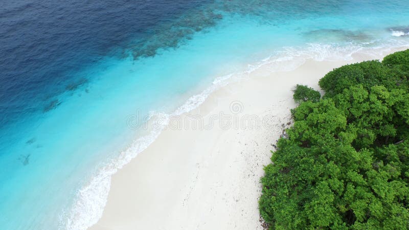 Bird View of Maldives Island Stock Image - Image of island, bird: 84507139