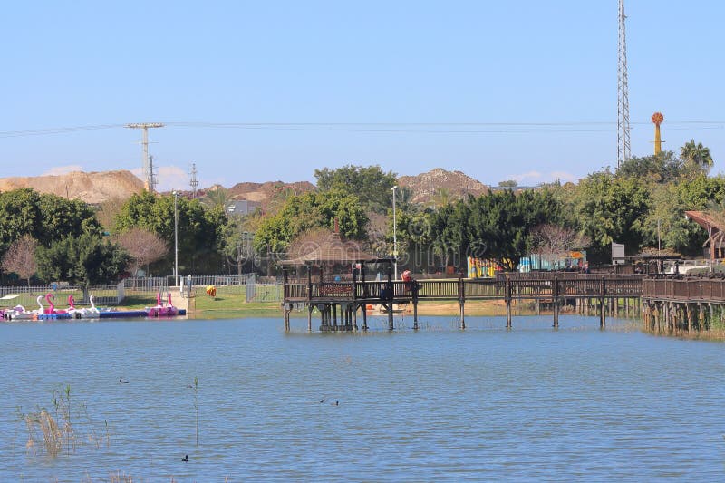 Bird Watching Bridge on the Lake Stock Image - Image of boat, tree ...