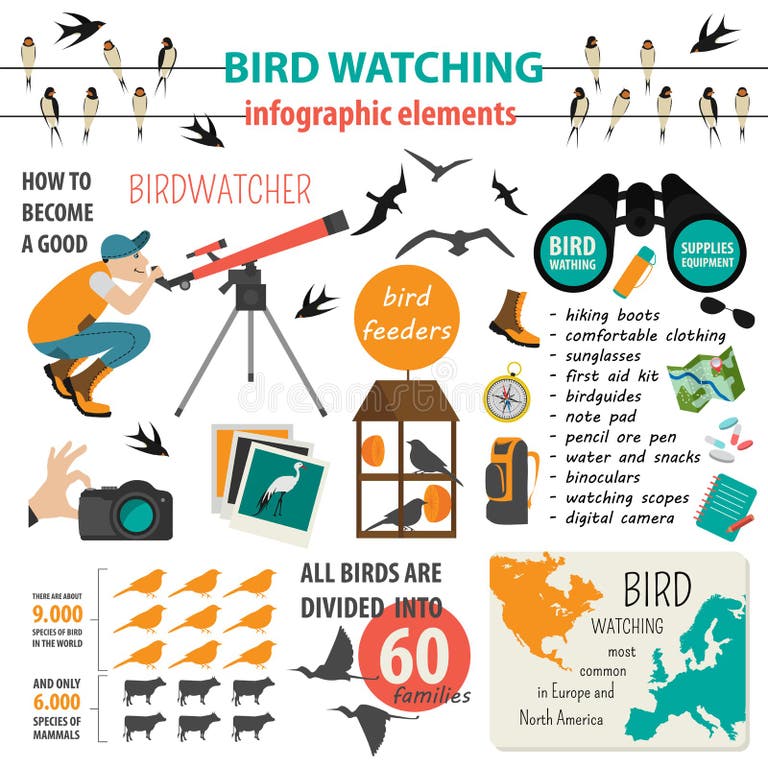 Bird Watching Stock Illustrations – 30,012 Bird Watching Stock ...