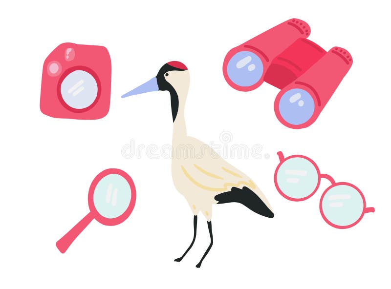 Bird Watching Set Flat Design with Camera and Crane Stock Vector ...