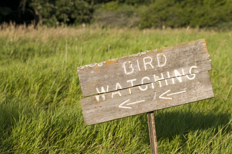 Bird watching hobby stock photo. Image of hobby, kids - 13240560