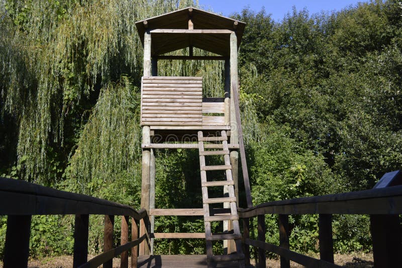 Wooden Bird Watching Station in Forest Stock Image - Image of high ...
