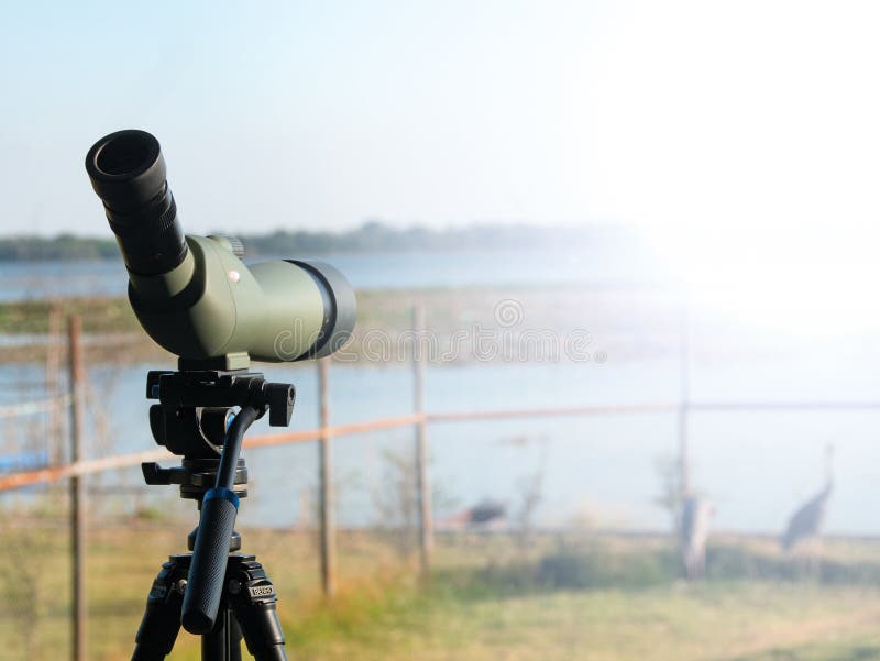 Bird watching telescope stock photo. Image of hobby - 282367228
