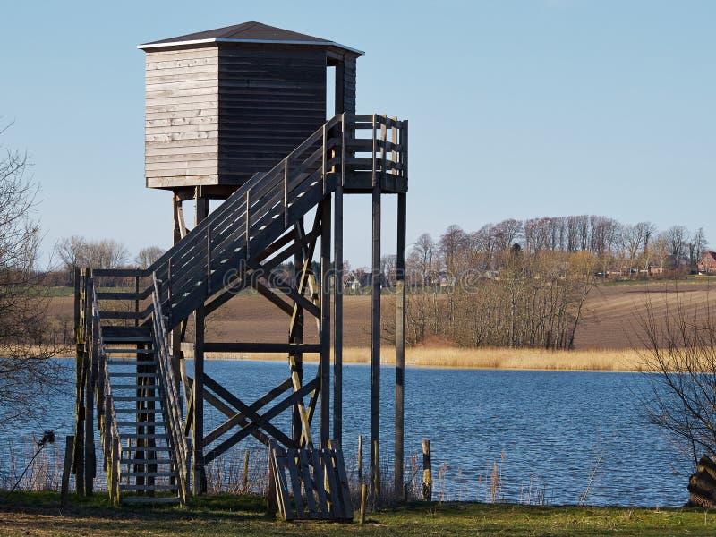 Bird watching tower stock photo. Image of observation - 52516560