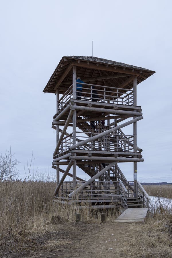 Bird Watchtower in Winter Time, Cloudy Day Stock Image - Image of green ...