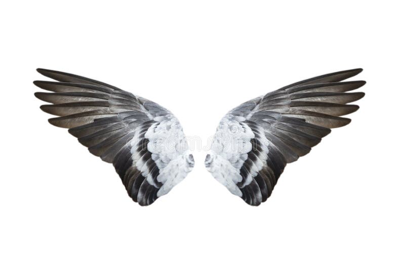 Real People With Wings