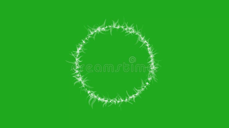 Bird Wings Moving Effect in Circular Path on Green Screen Stock Video ...