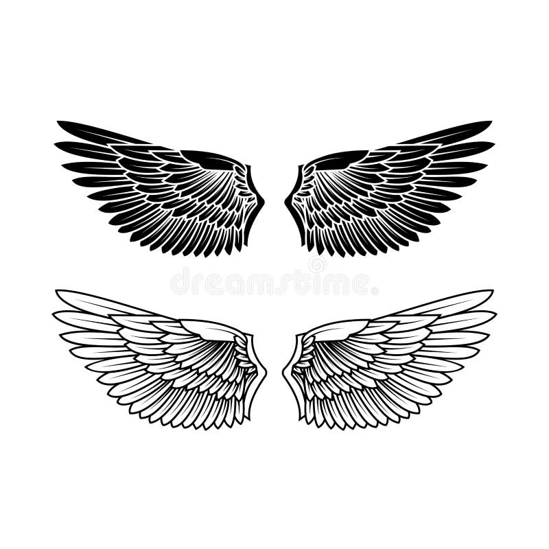 Bird Wings Set Vector Illustration Stock Vector - Illustration of ...