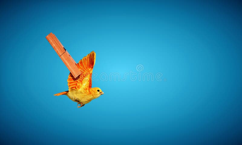 Bird with Wings Tied by a Clothspin. Escape and Ambition Concept Stock ...