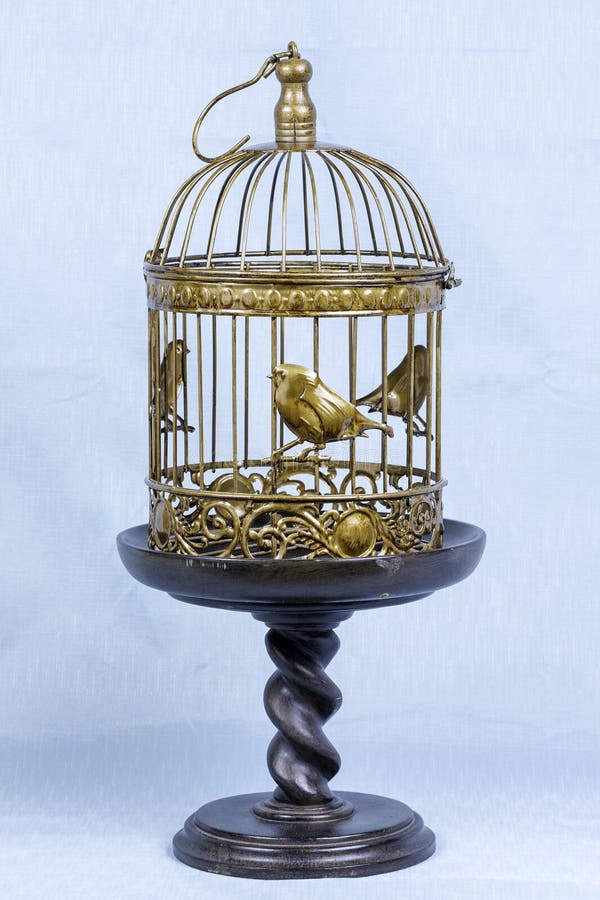 Open Bird Cage stock photo. Image of cell, enclose, detainee - 5123568