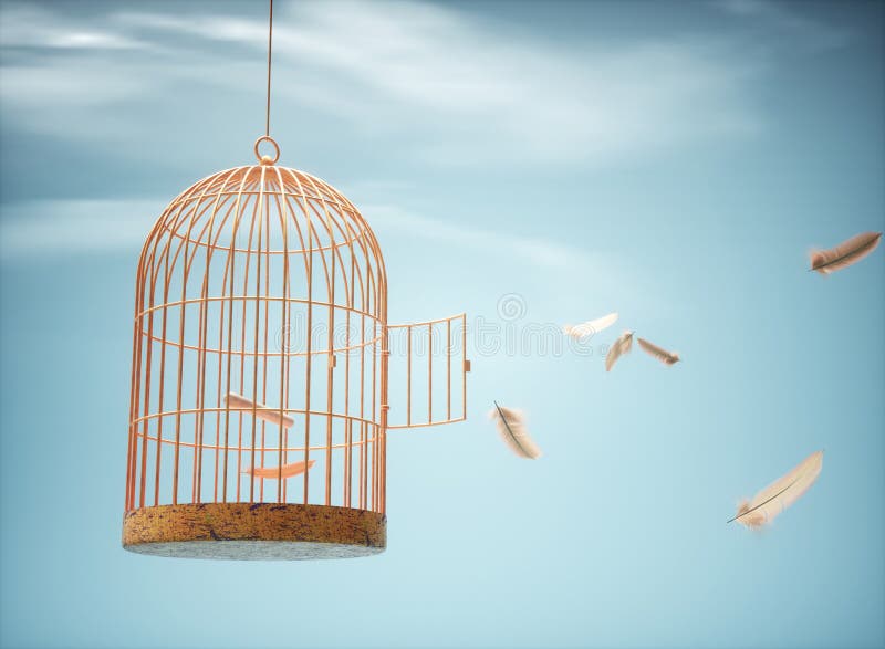 Birdcage with Open Door and Feathers Floating in the Air Stock ...