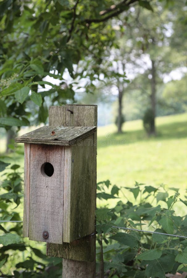 Birdhouse Picture. Image: 6079554