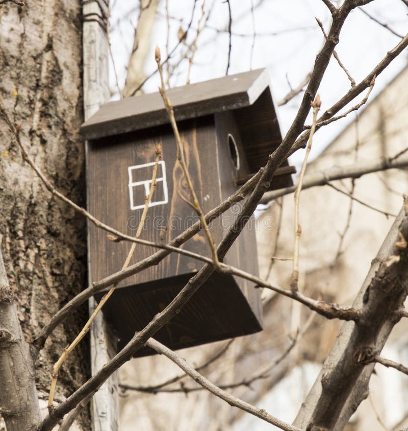 Birdhouse, Bird Feeder, Help from People during Stock Photo - Image of ...