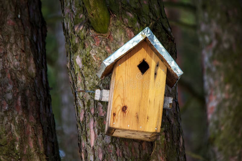 Birdhouse, Bird House on a Tree Stock Photo - Image of feeder, bird ...