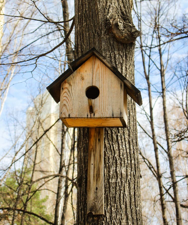 Birdhouse for Birds on a Tree in the Park. Stock Photo - Image of large ...