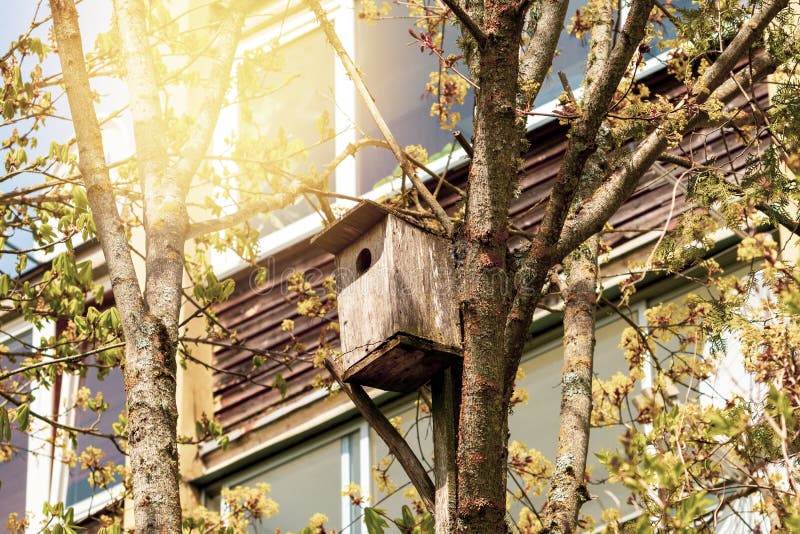 Birdhouse Hangs on Tree Branches Outside Residential Building Stock ...