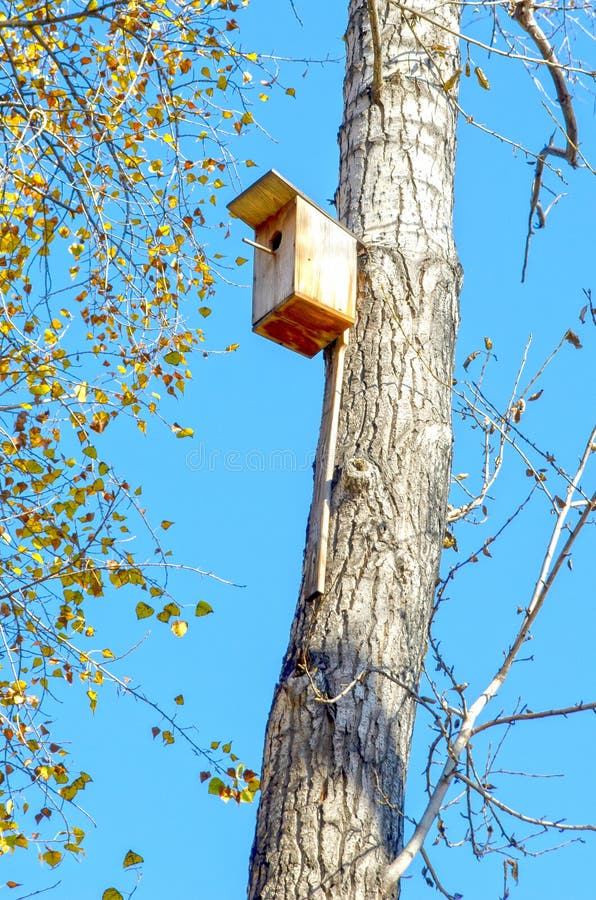 A Birdhouse. a House for Birds, on a Tree Stock Photo - Image of tree ...