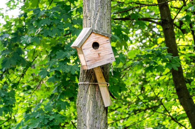Birdhouse House for Birds on a Tree in the Park Stock Image - Image of ...