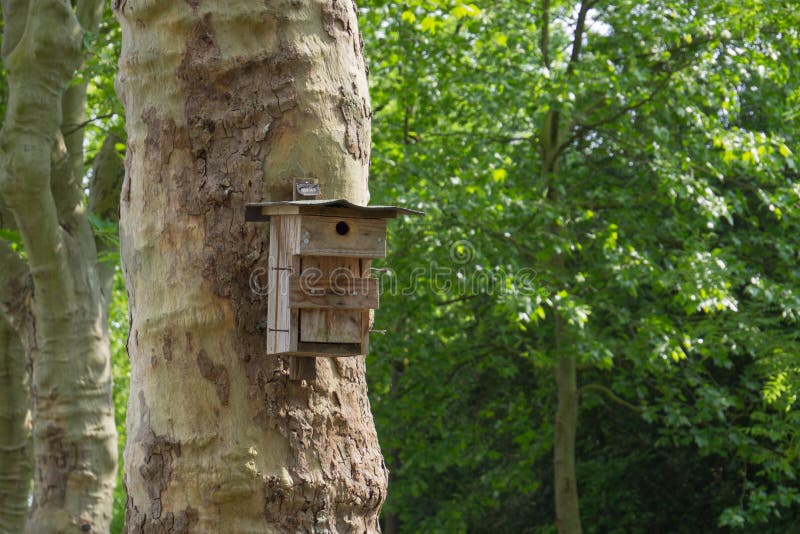 Birdhouse Hung on a Tree without Bark Stock Image - Image of nails ...
