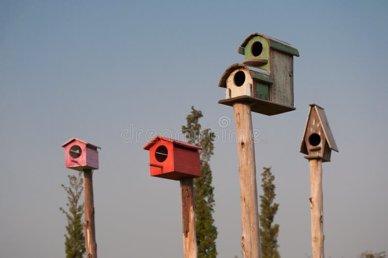 Birdhouse stock image. Image of group, birdhouse, bird - 39746419