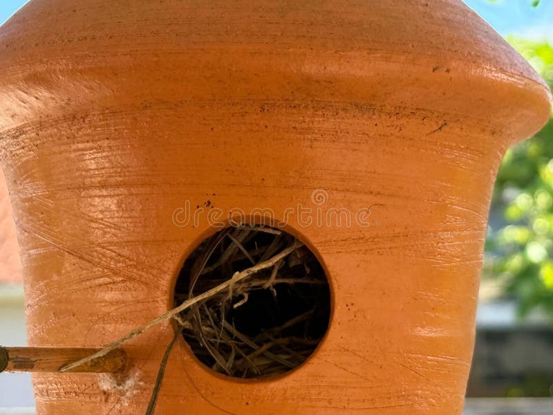 Birdhouse with Natural Bird Nest Inside Closup Stock Image - Image of ...