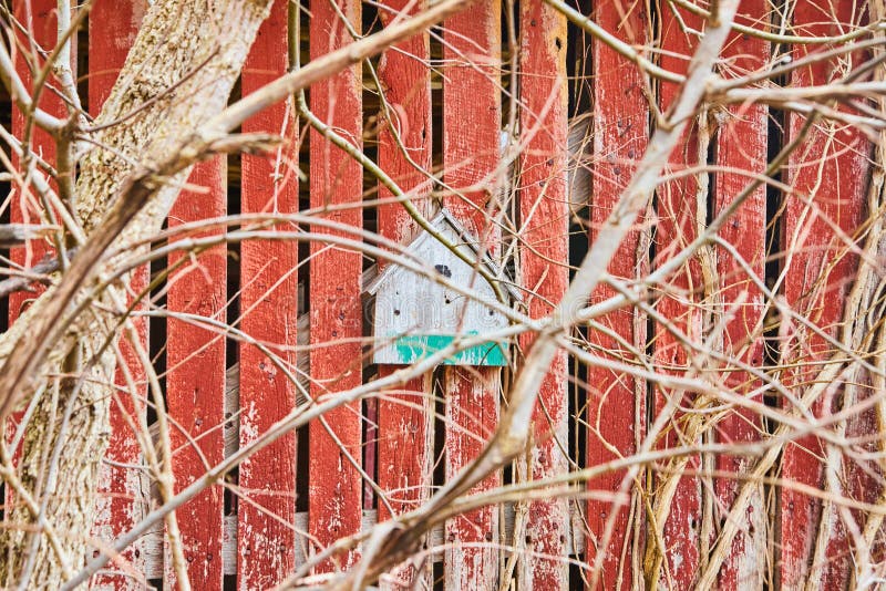 Birdhouse on Red Barnwood Side Hidden by Many Leafless Tree Branches ...