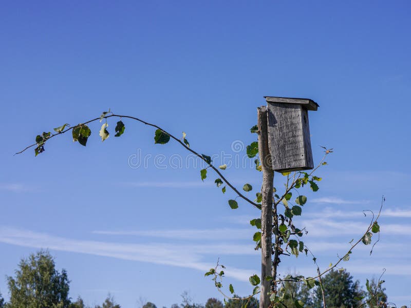 A Birdhouse on a Thin Wooden Post Stock Photo - Image of cloud, summer ...