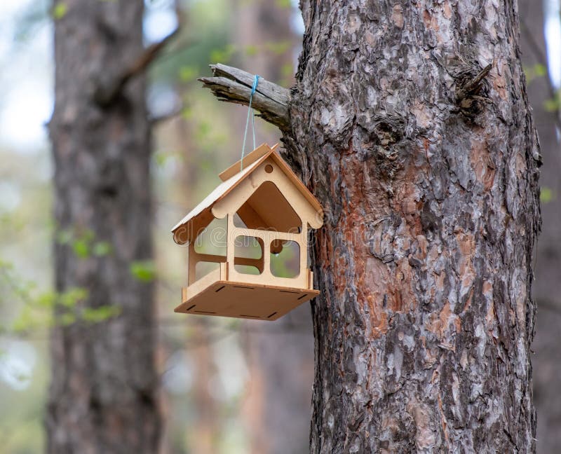 Birdhouse on a Tree Branch in Spring Stock Image - Image of outdoor ...