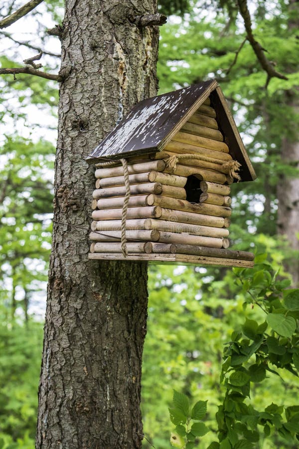 Birdhouse on a Tree in the Forest Stock Photo - Image of close, house: 284129538