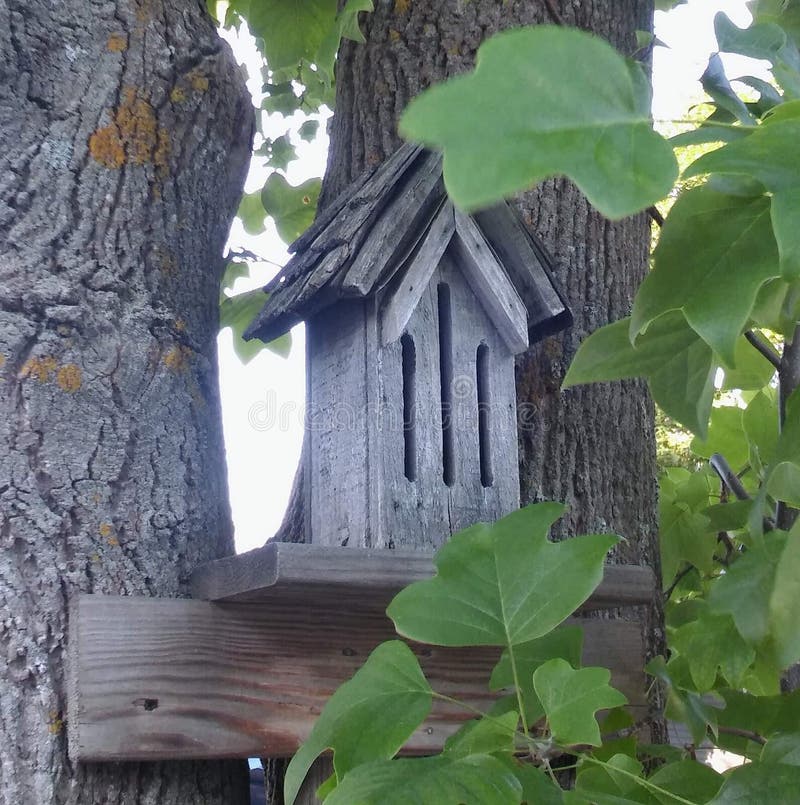 Birdhouse in tree stock photo. Image of simple, fauna - 150278470
