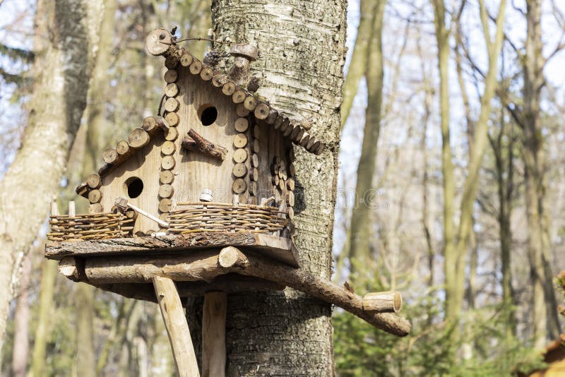 Birdhouse on a Tree in the Spring. Tree Branch with a Bird House Stock ...