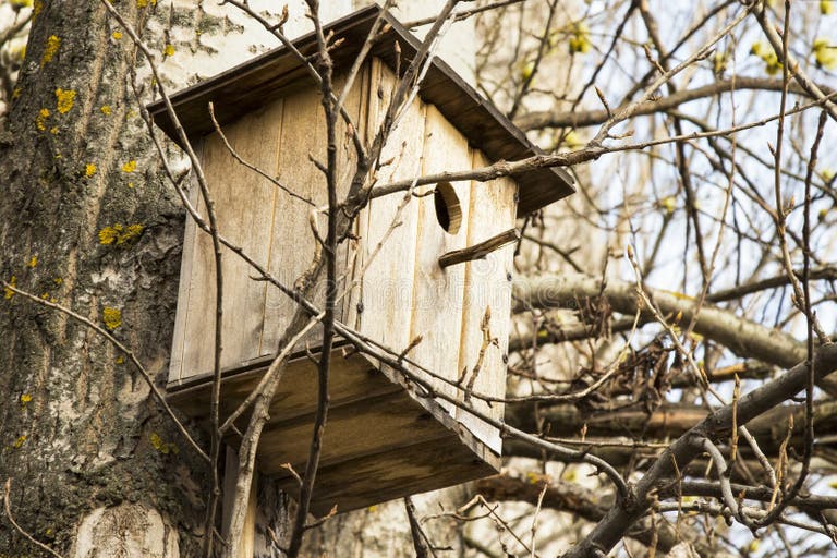 Birdhouse on Tree at Springtime. Branch of Tree with Bird House. Stock ...
