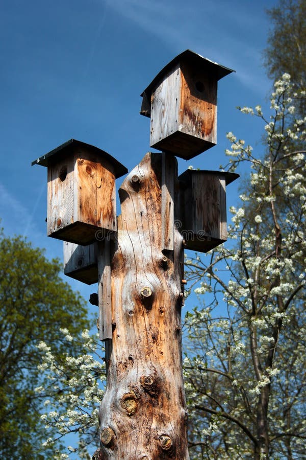 Birdhouses on a Dry Tree Trunk Stock Photo - Image of park, brown ...