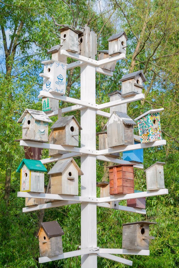 Birdhouses stock photo. Image of spring, container, bird - 97177874
