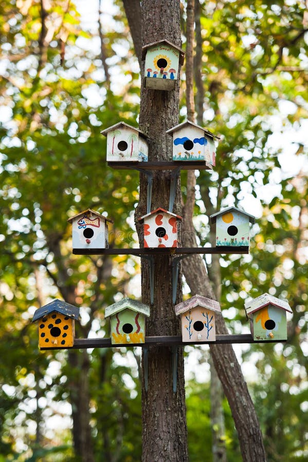 Rustic Birdhouses stock photo. Image of springtime, trees - 6885318