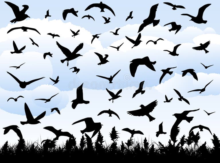 Birds Migration Stock Illustrations – 7,674 Birds Migration Stock ...
