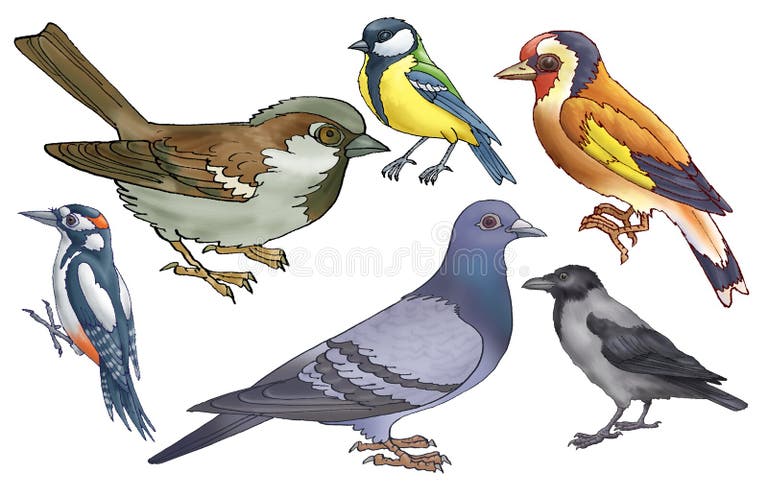Six Birds Stock Illustrations – 371 Six Birds Stock Illustrations ...