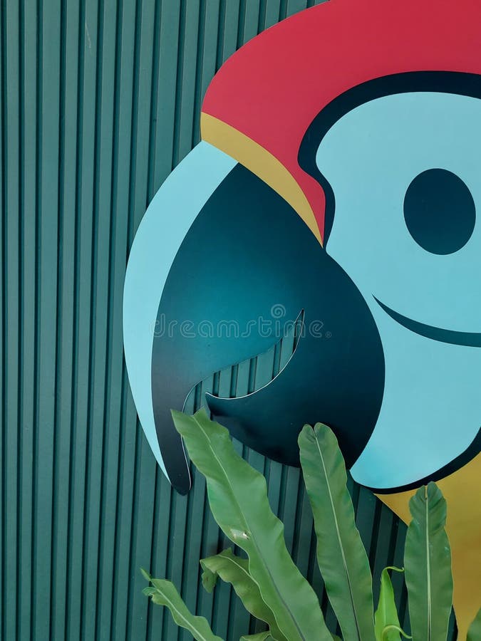 Birds Animals Pets Animals Outside Outdoors Stock Photo - Image of ...