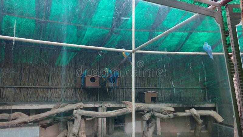 Birds arena stock image. Image of facade, special, arena - 86501165