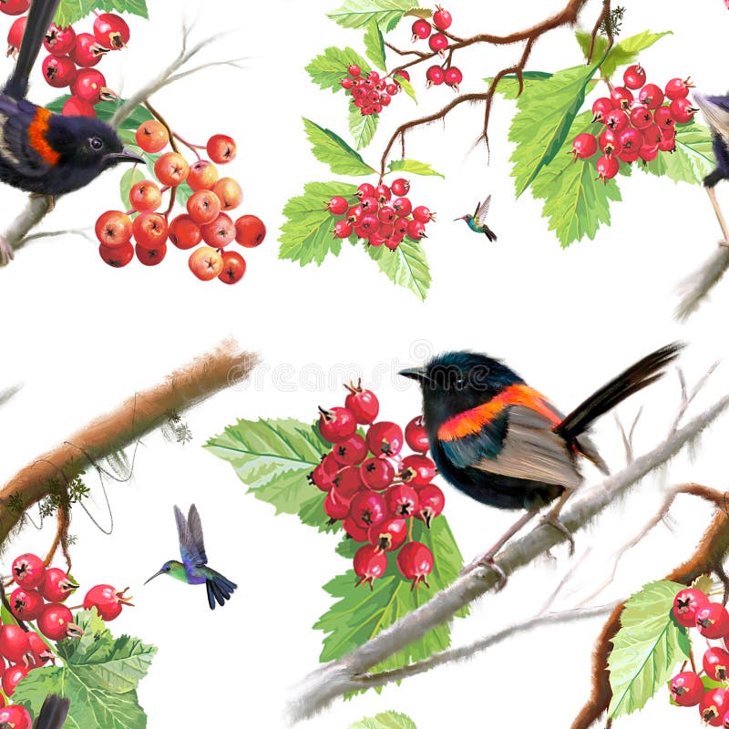 Birds on Berry Branch Seamless Pattern on White Background Stock Image ...