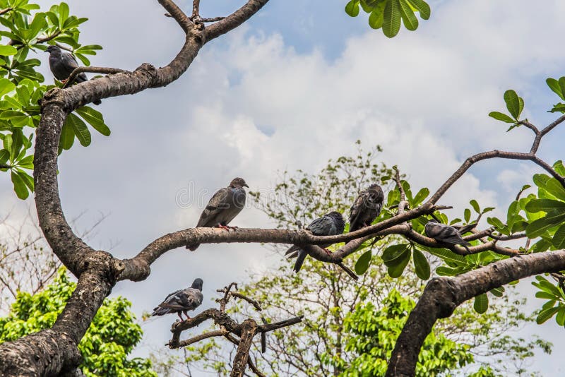 Alot Symbols Stock Photos - Free & Royalty-Free Stock Photos from ...