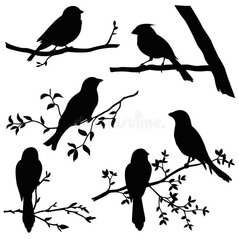 Birds on Branches Silhouette Set Stock Vector - Illustration of vector ...