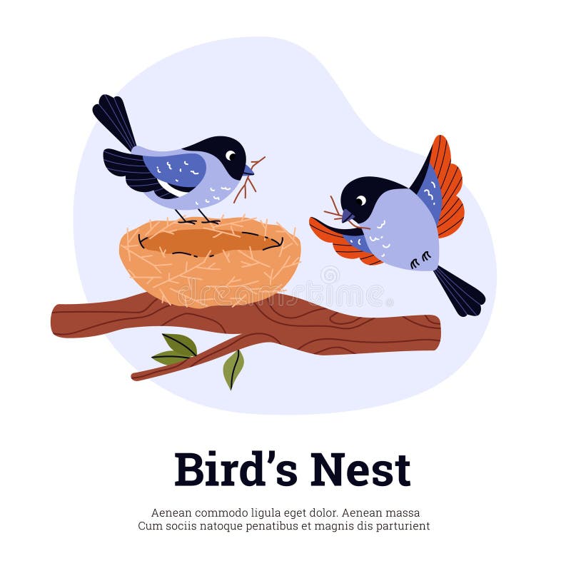 Birds Building Nest Teamwork Vector Illustration Stock Vector ...